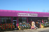 Royal Oak Florist with Same-Day Delivery | Dynamic Flowers Of Royal Oak ...
